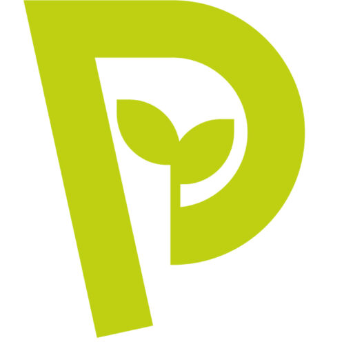 Summer Newsletter - Dibden Park