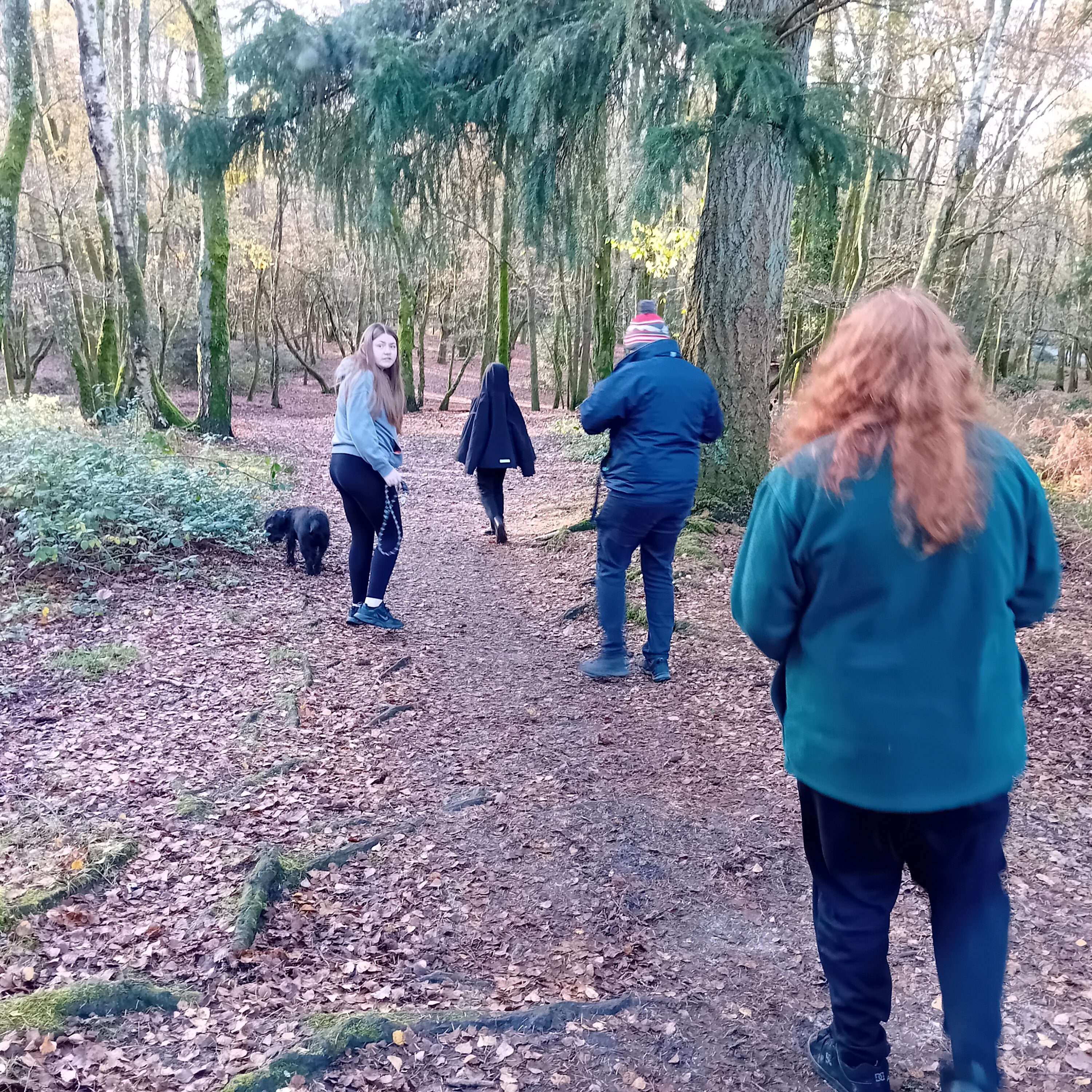 Winter doggy walk - Dibden Park